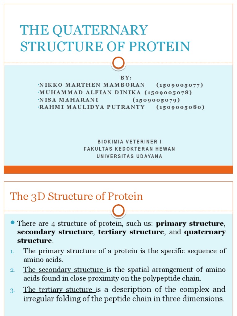 Quaternary Structure of Proteins | PDF