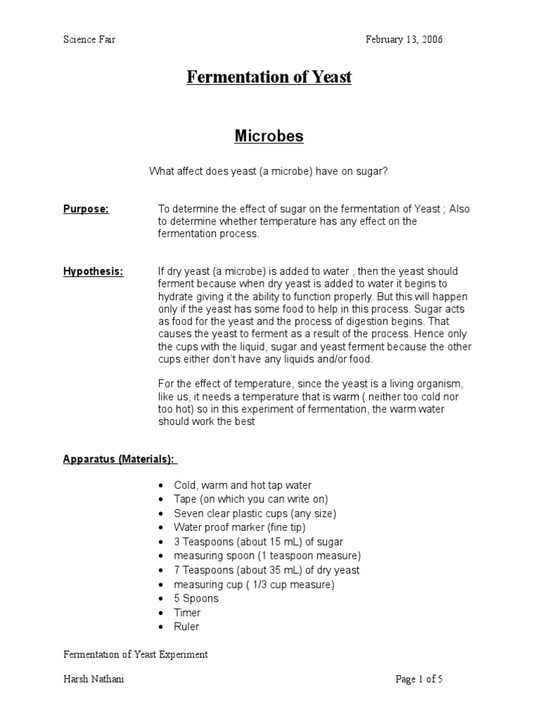Project Report - Yeast Experiment | PDF | Yeast | Brewing