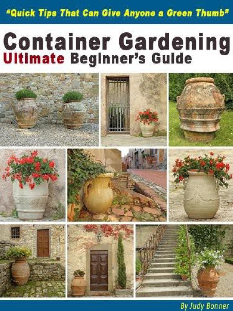 Container Gardening Guide for Beginners | PDF | Plants | Vegetables