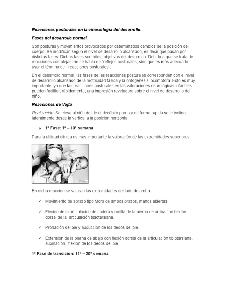 Reacciones Posturales en Cinesiología Infantil | PDF | Términos ...