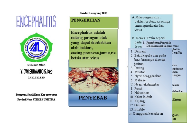 Leaflet Encephalitis | PDF