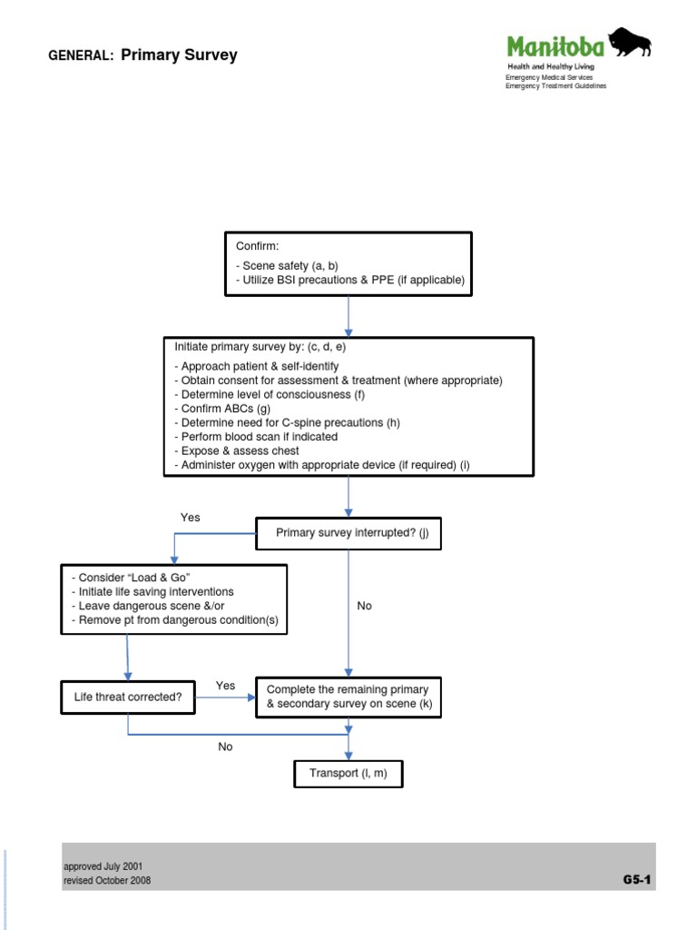 Primary Survey: General | PDF | Emergency Medical Services | Medicine