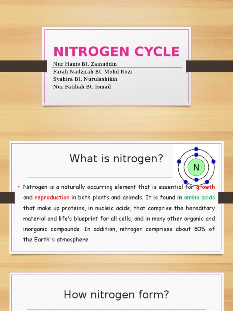 Understanding Nitrification in Nitrogen Cycle | PDF