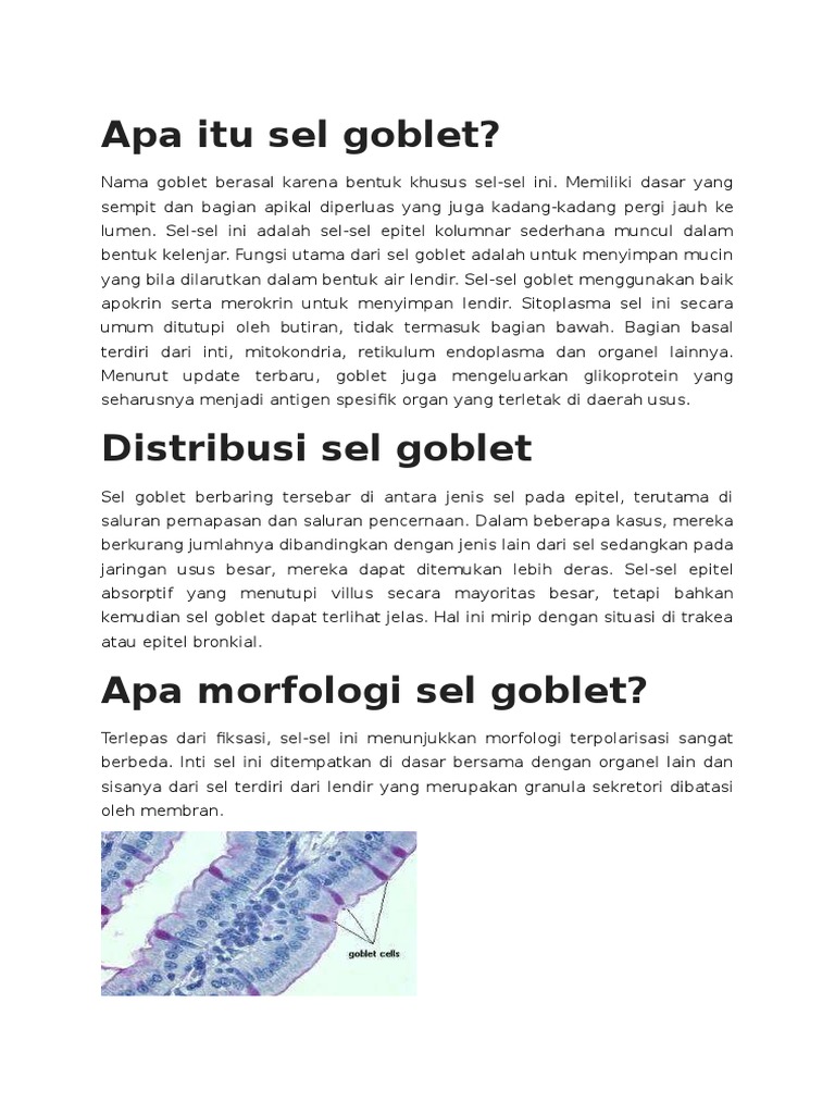 Apa Itu Sel Goblet | PDF | Kesehatan Holistik | Sains & Matematika