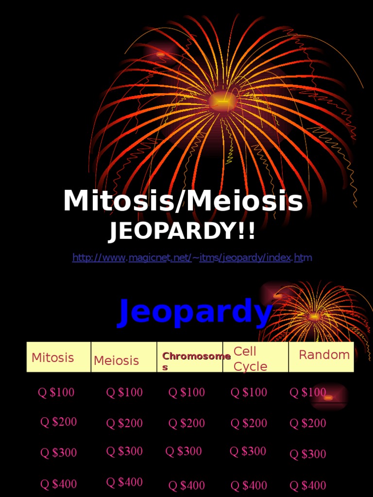 Jeopardy Test Review | PDF | Mitosis | Meiosis