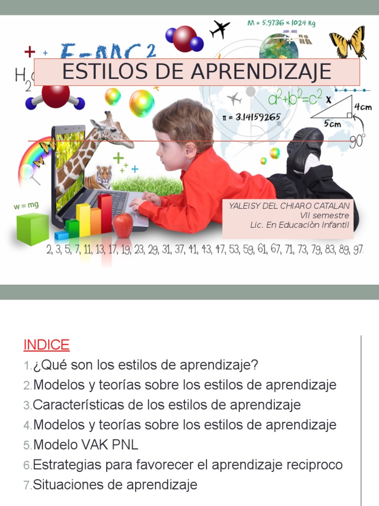 Estilos de Aprendizaje | Programación neurolingüistica | Aprendizaje