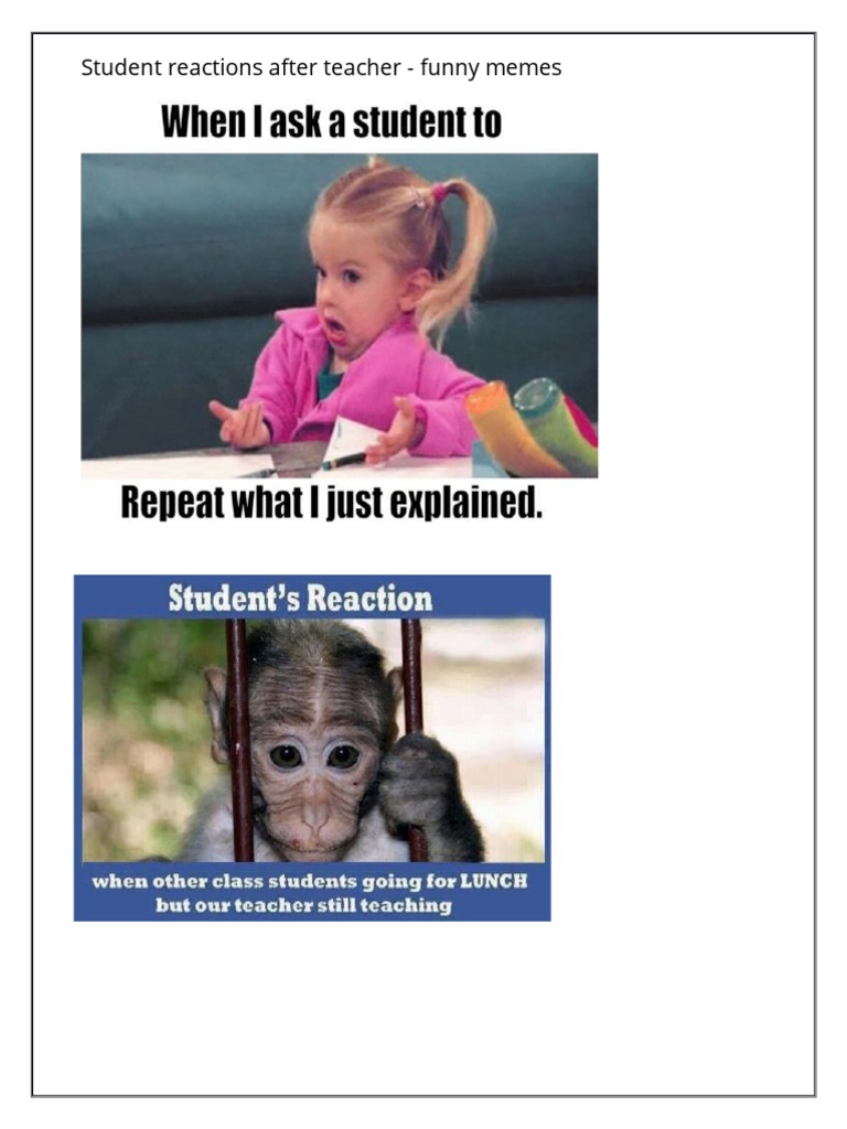 Student Reactions After Teacher | PDF