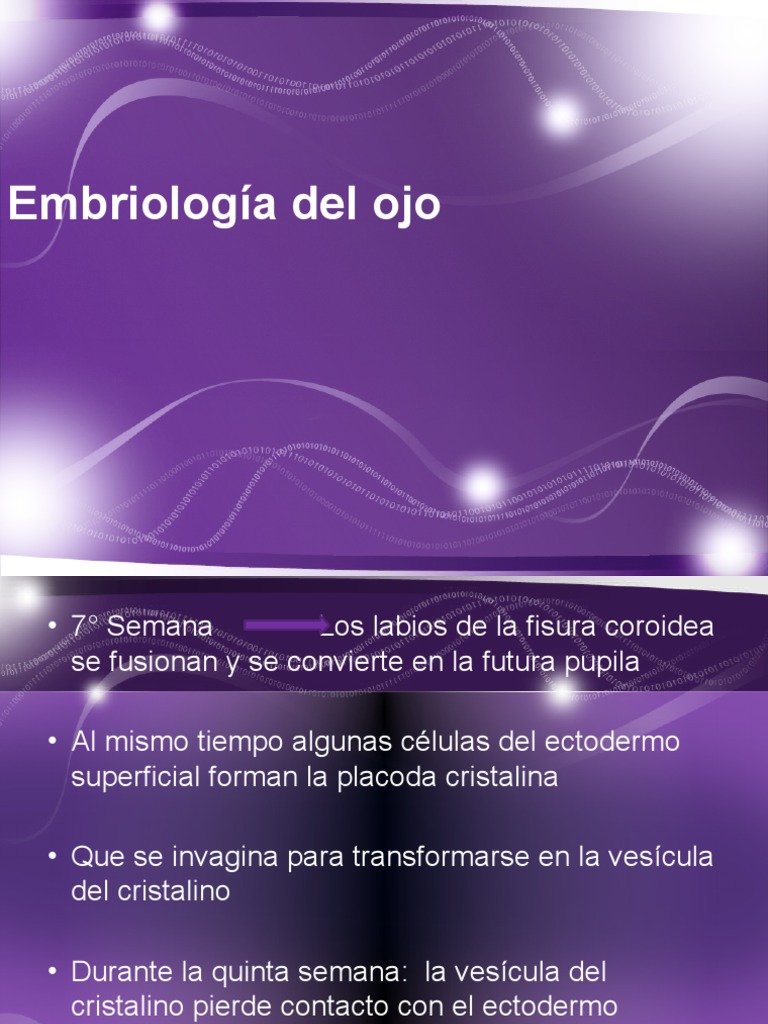 Embriologia Del Ojo | PDF | Hogar, jardinería y bricolaje | Salud y ...