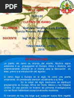 Monografia de Ramio | PDF | Tallo de la planta | Hoja