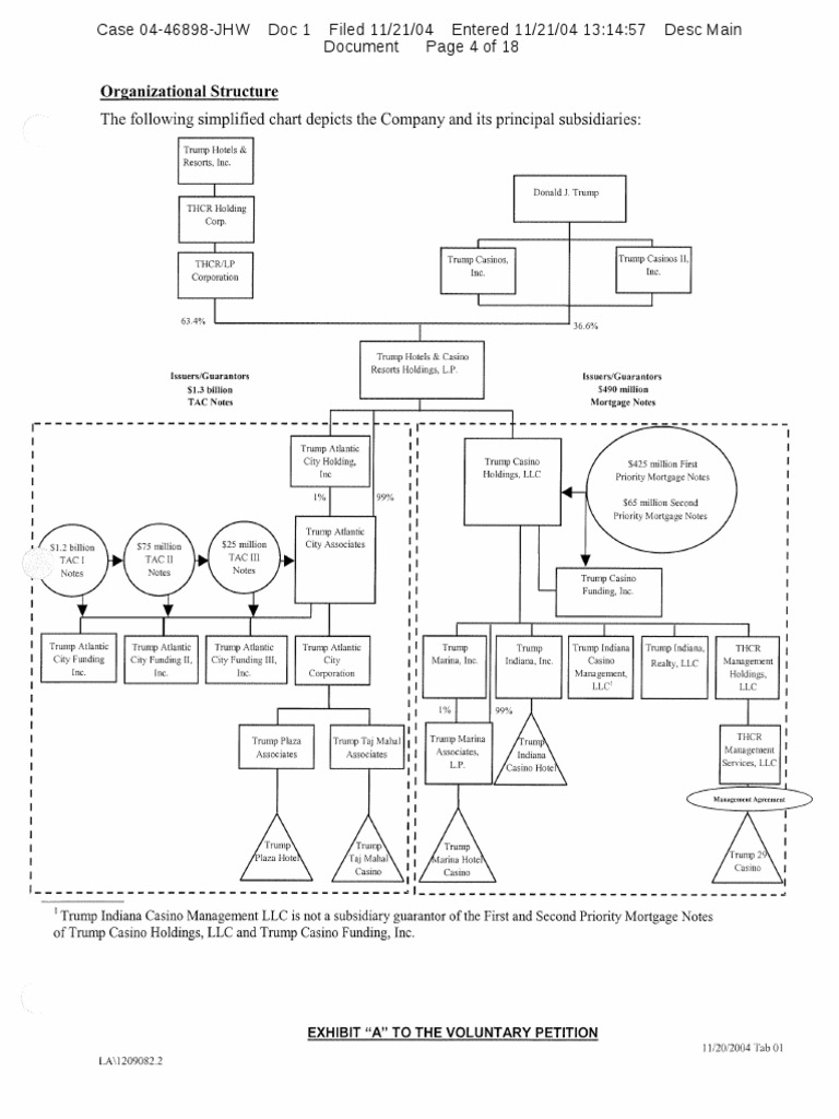 Trump Org. Chart | PDF