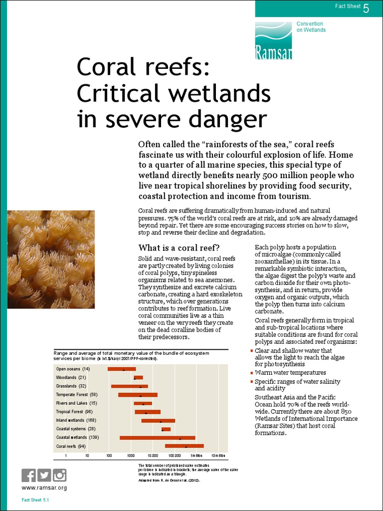 Factsheet5 Coral Reefs | PDF | Coral Reef | Coral