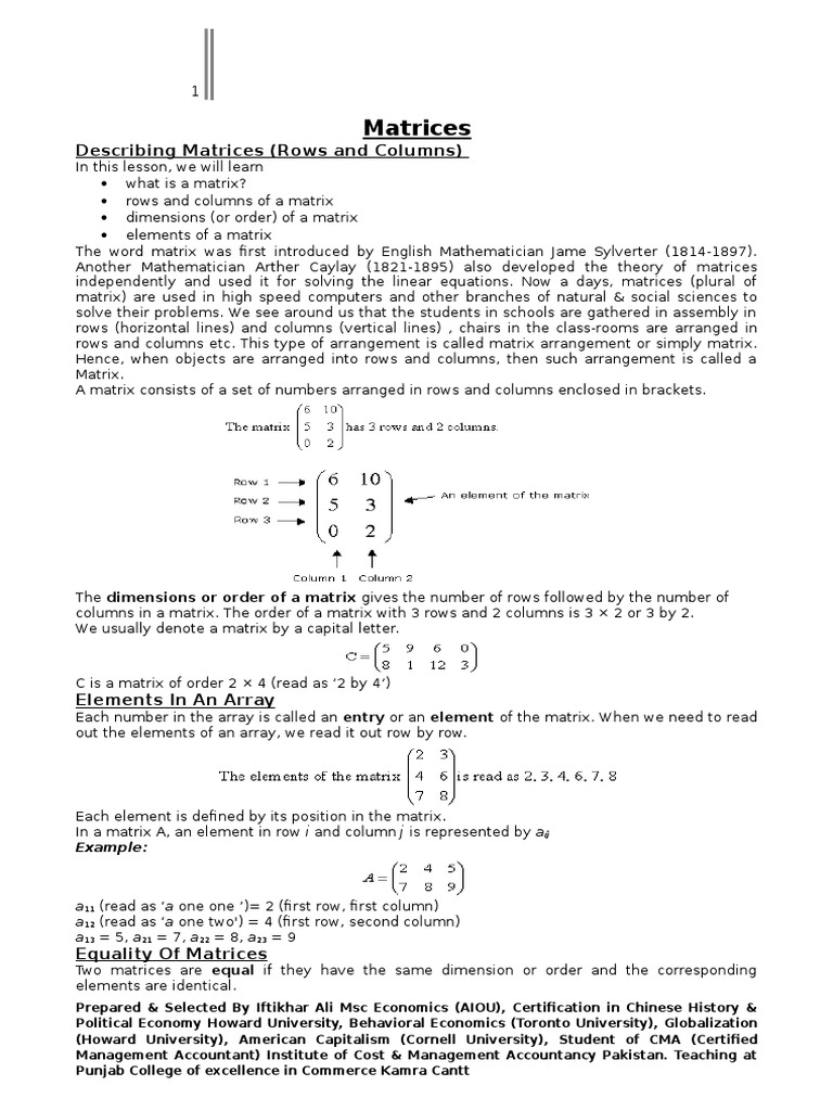 Matrices: Describing Matrices (Rows and Columns) | PDF | Matrix ...