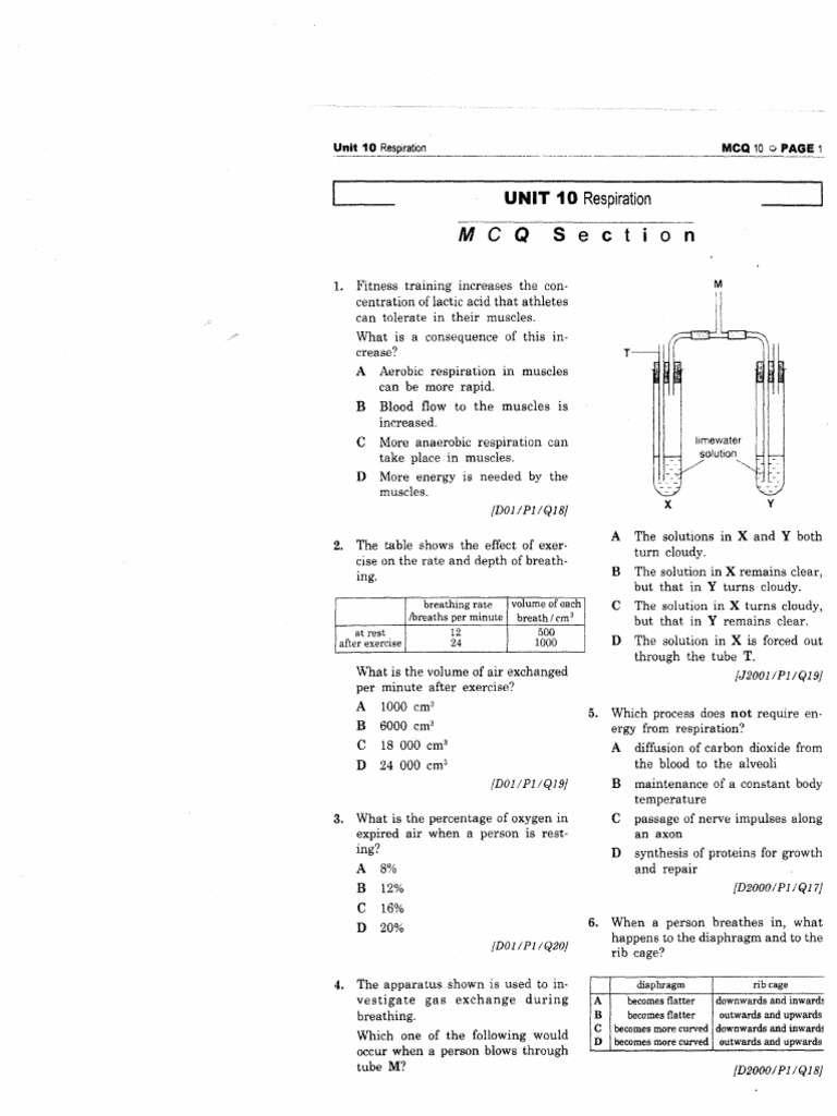 Csec Respiration (Multiple Choice) | PDF