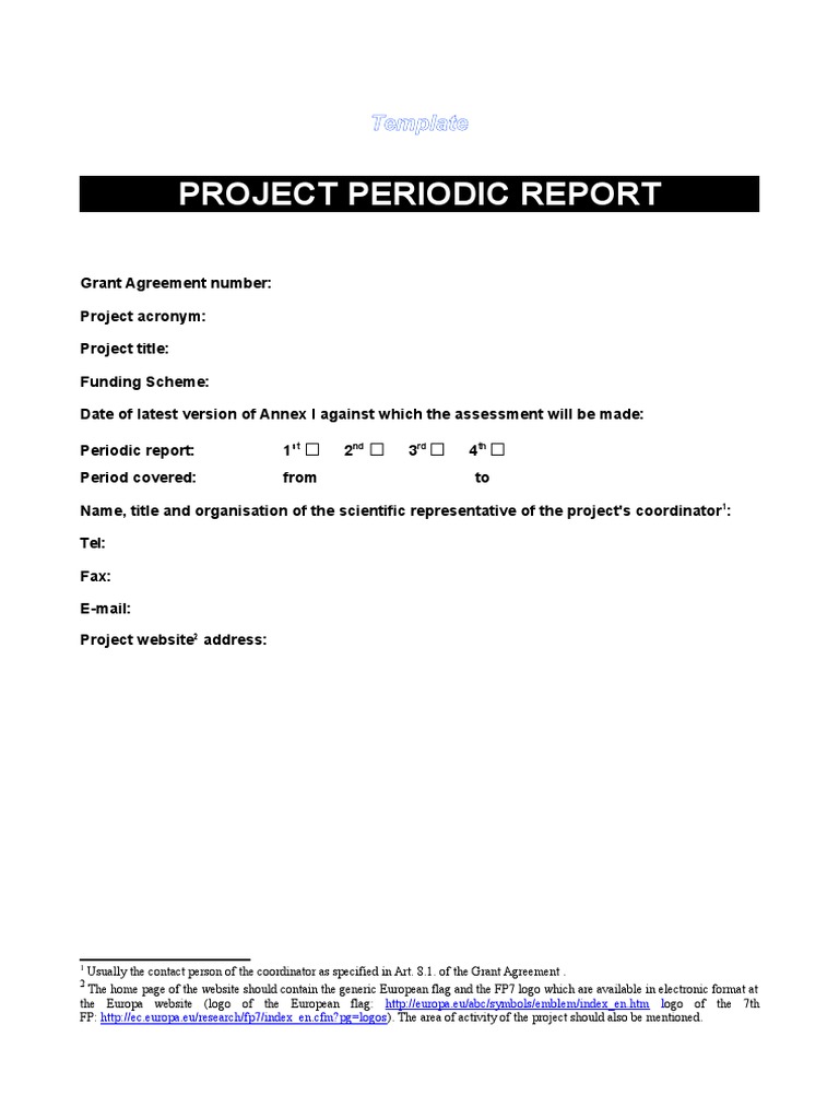 Project Periodic Report: Template | Download Free PDF | Project ...
