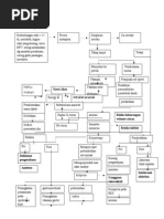 Pathway Febris | PDF