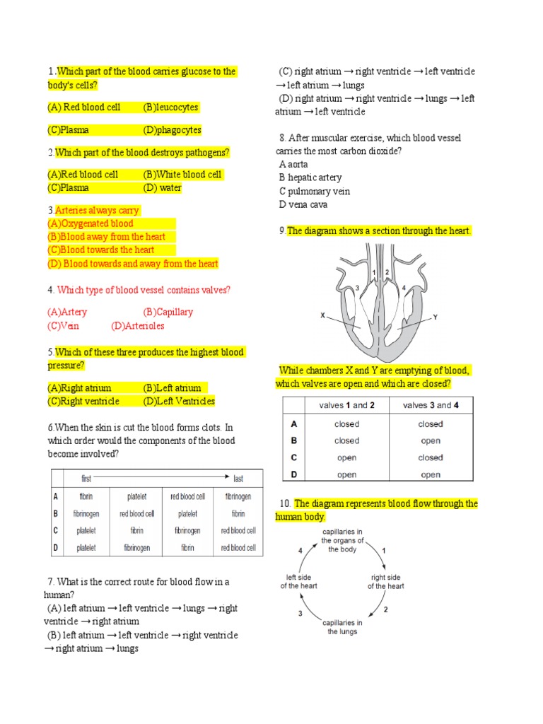 Questions On Cirrculatory System | PDF | Circulatory System | Atrium ...