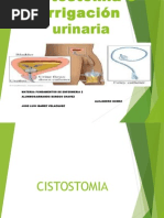 CISTOCLISIS | PDF | Especialidades Medicas | Riego