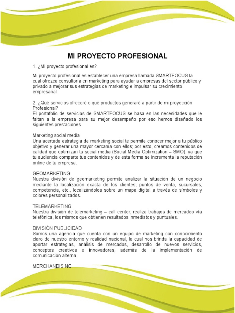 Mi Proyecto Profesional | PDF | Marketing | Liderazgo