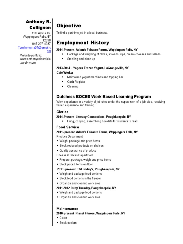 Anthonys Resume | PDF