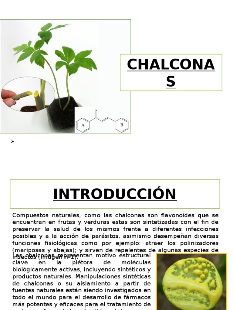 Estructura y funciones de chalconas | PDF | Aromaterapia ...