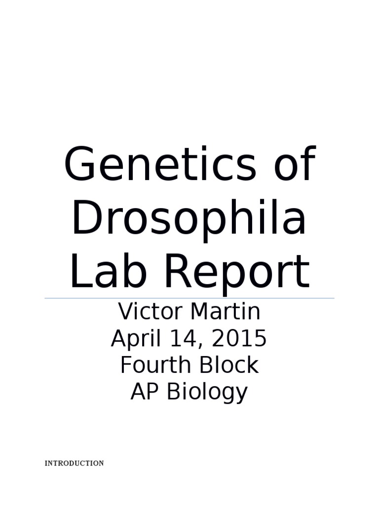 AP Biology Genetics of Drosophila Lab Report | PDF | Allele | Genetics