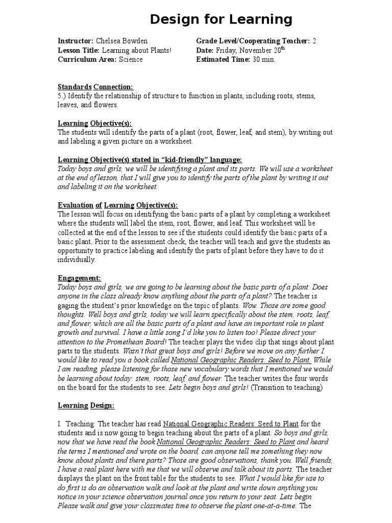 Science Mini-Lesson | PDF | Science, Technology, Engineering, And ...