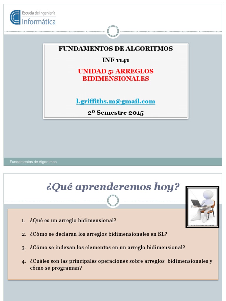 Arreglos Bidimensionales Sle | PDF | Estructura de datos de matriz ...
