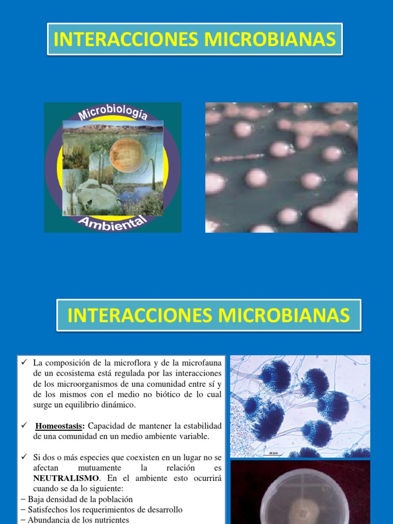Clase 3. Interacciones Microbianas | Simbiosis | Hongo