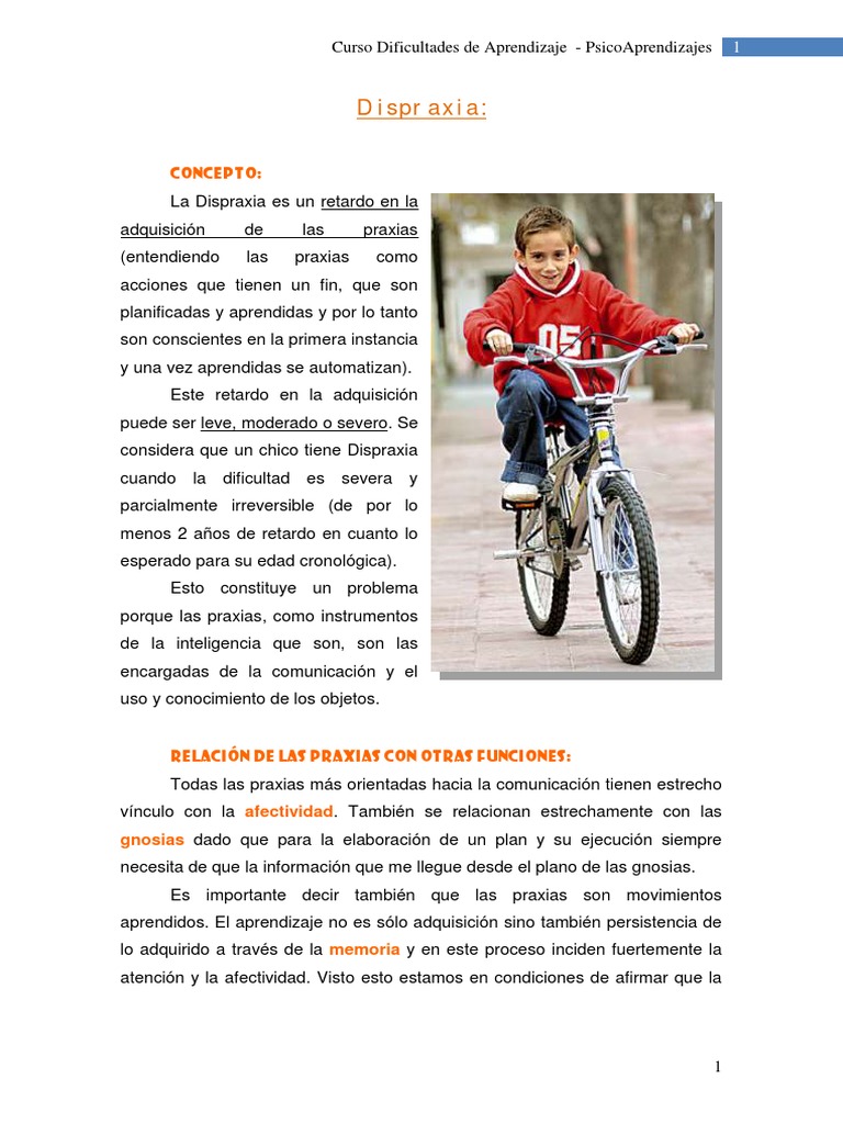 Understanding Developmental Dyspraxia: Causes, Types, Diagnosis and ...