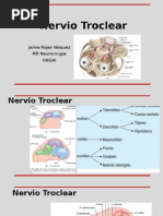 Anatomia Topografica de Cabeza y Cuello | PDF | Cráneo | Sistema esquelético