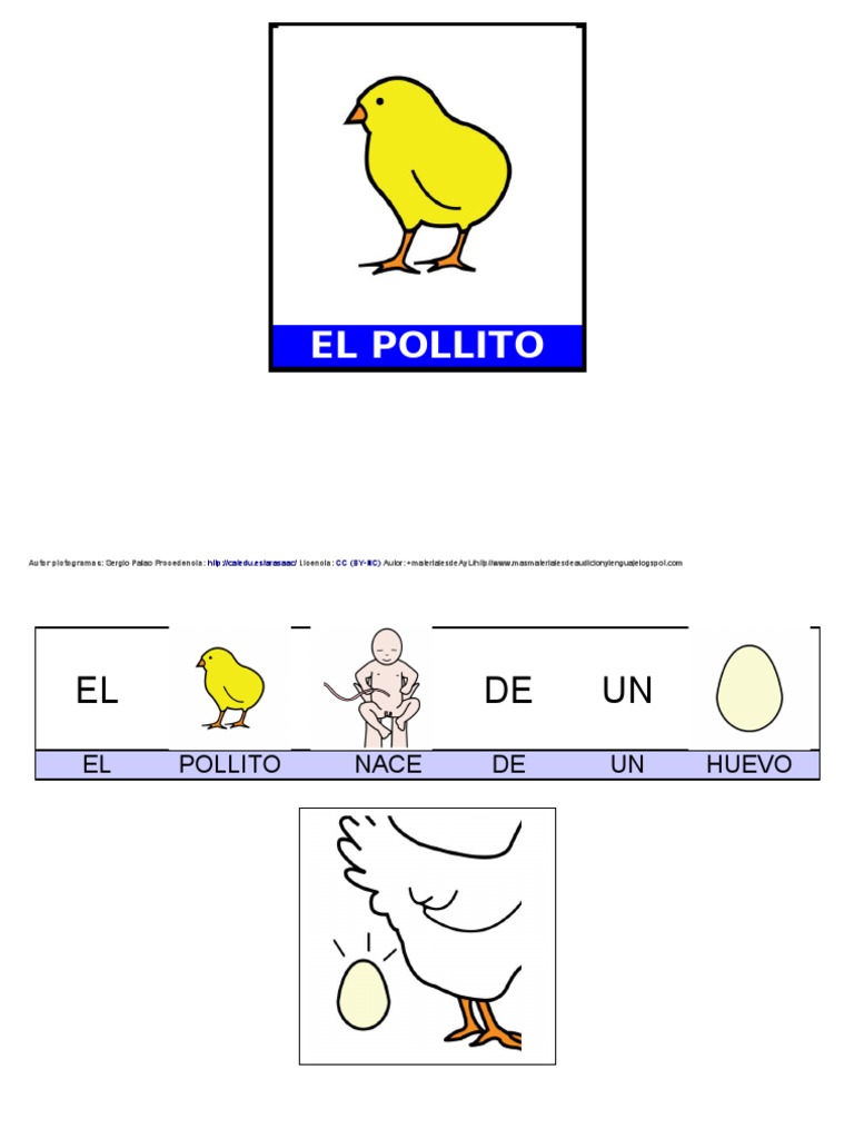 El Pollito | PDF