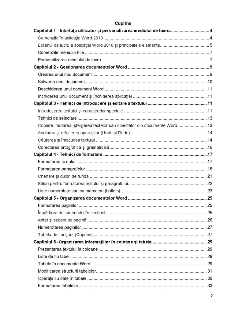 Instructiuni Folosire Word 2010 PDF | PDF