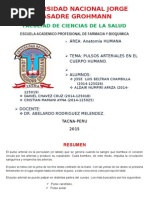Ubicación del pulso cubital | PDF