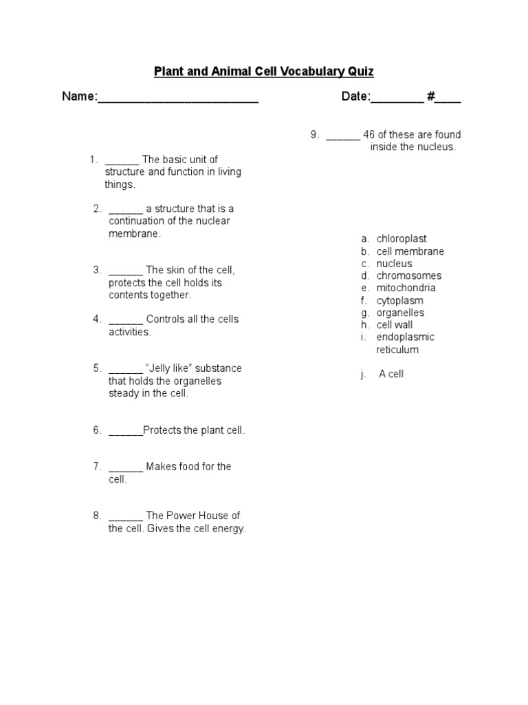 Plant & Animal Cell Quiz Vocabulary | PDF | Science & Mathematics