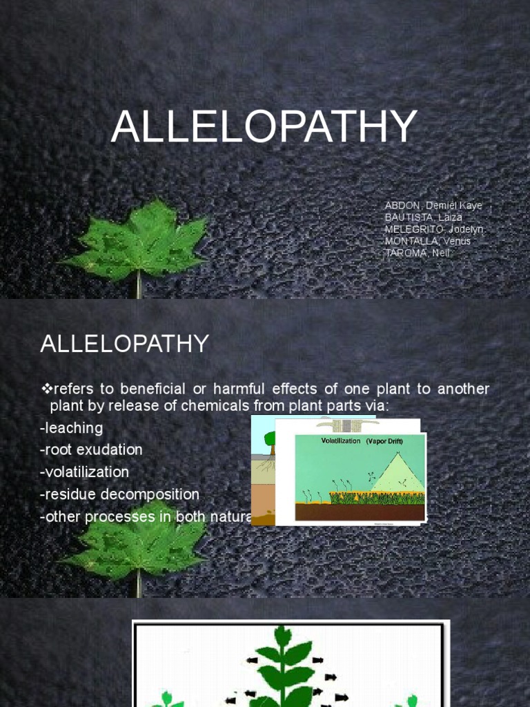 Allelopathy Ppt. Edited | Soil | Plants