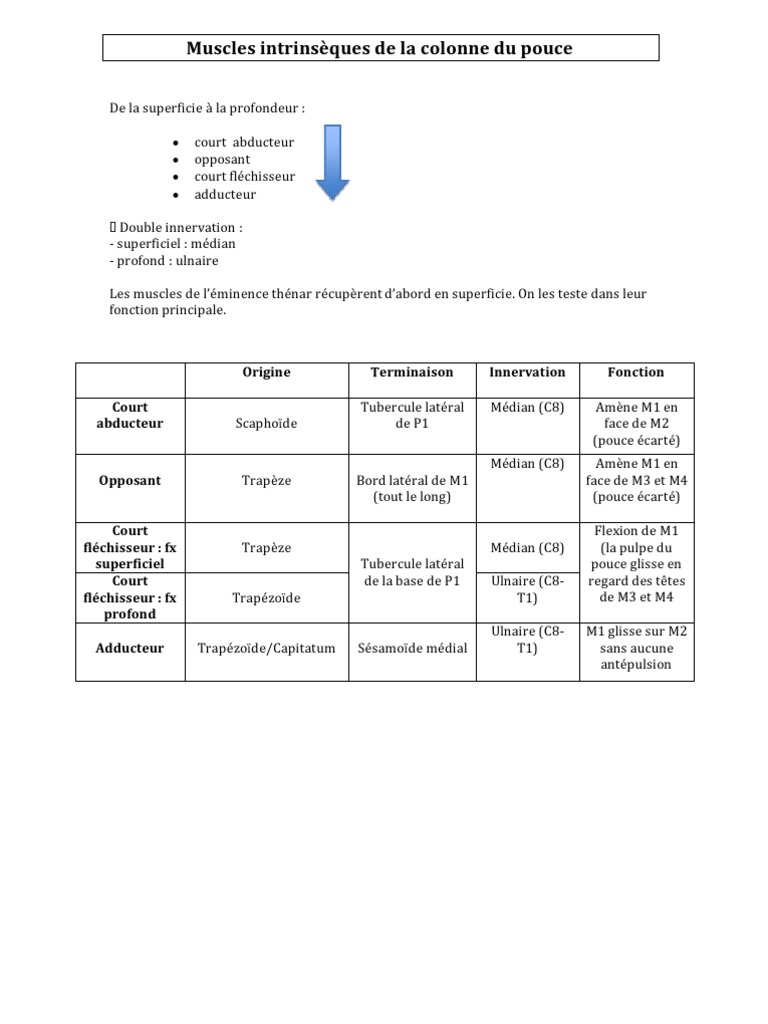 Testing Intrinsques Du Pouce | PDF | Main | Articulation (anatomie)