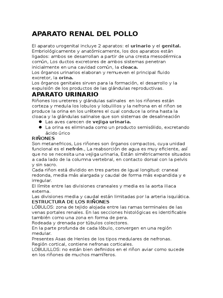 Aparato Renal Del Pollo | PDF | Riñón | Sistema urinario