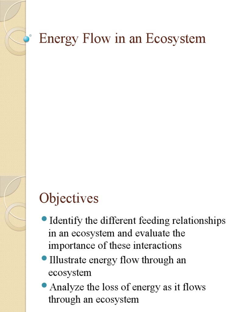 Energy Flow in An Ecosystem | PDF | Food Web | Environmental Technology