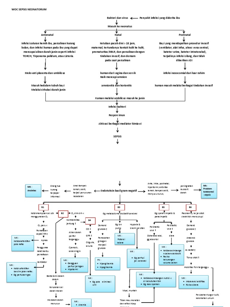 Woc Sepsis New | PDF | Ilmu Sosial