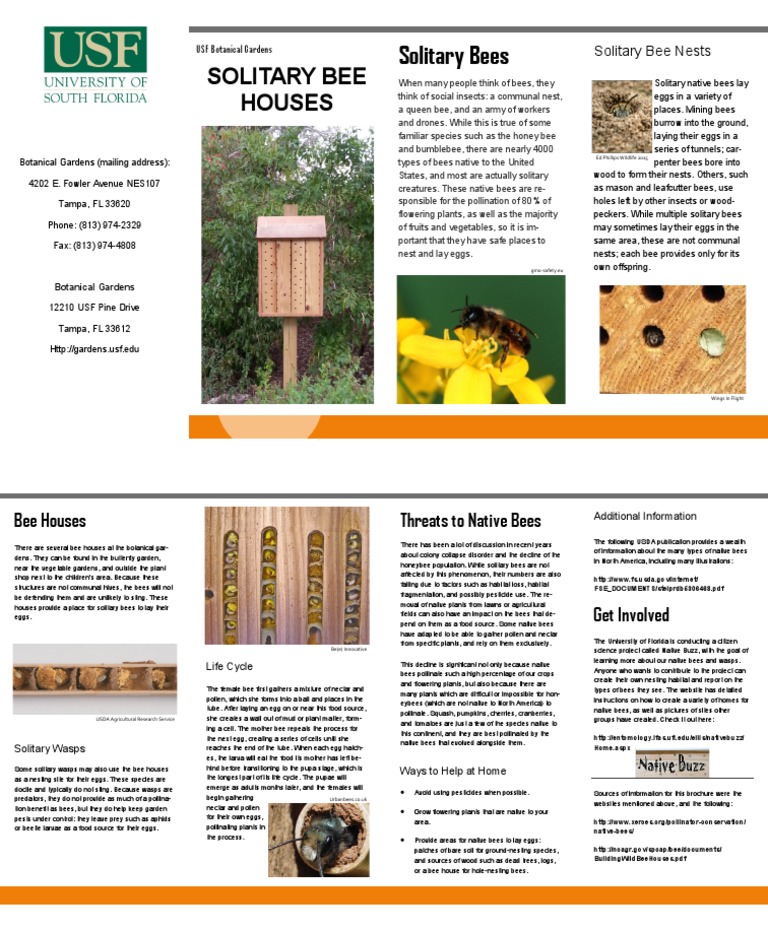 Solitary Bee Brochure | PDF | Bees | Honey Bee