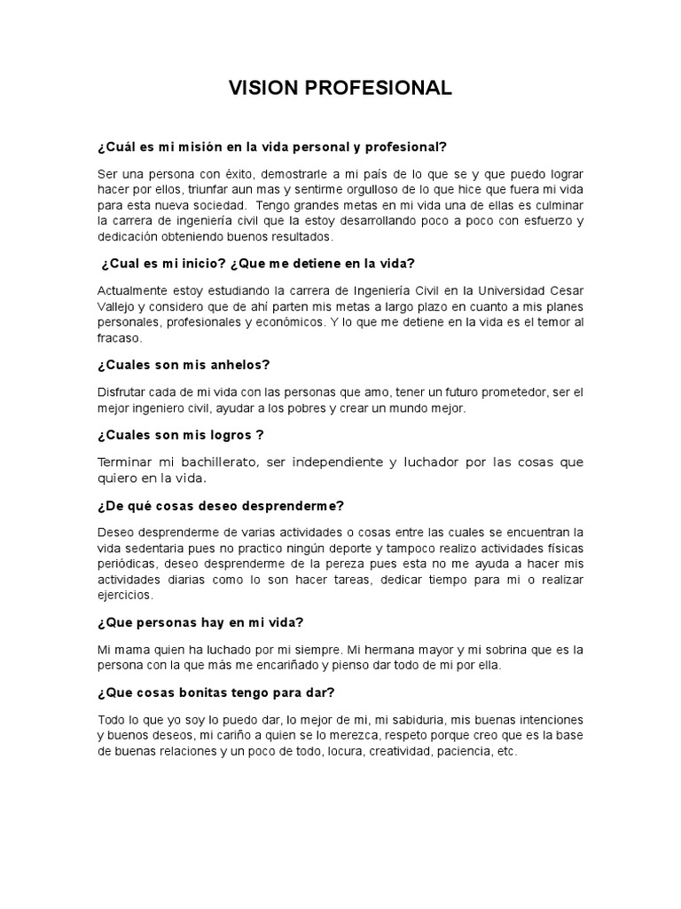 Vision Profesional | Ingeniería | Ingeniero civil