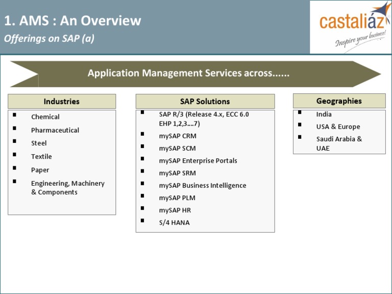 SAP AMS for Global Industries | PDF