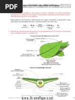 BC Science 8 Workbook Answers | PDF | Electromagnetic Spectrum ...