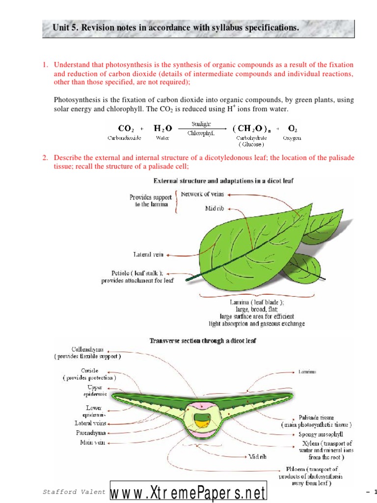 Unit 5. Revision Notes in Accordance With Syllabus Specifications | PDF ...