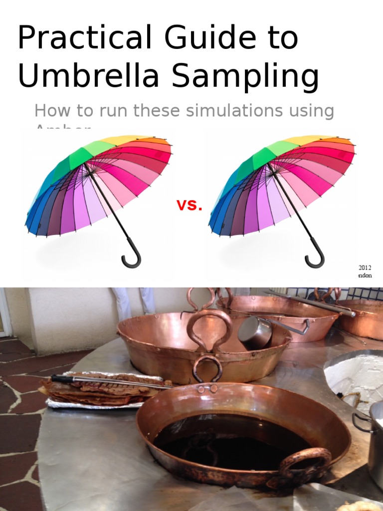 Umbrella Sampling Guide | PDF | Gibbs Free Energy | Mechanics