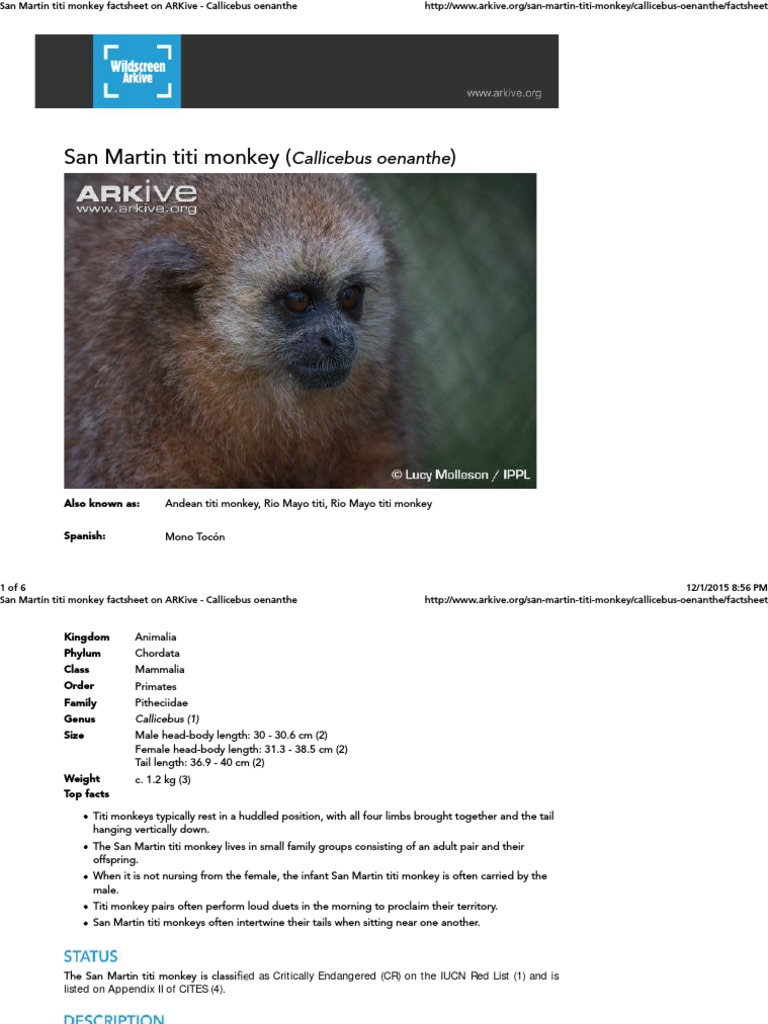 San Martin Titi Monkey Factsheet | PDF | Conservation | Agriculture