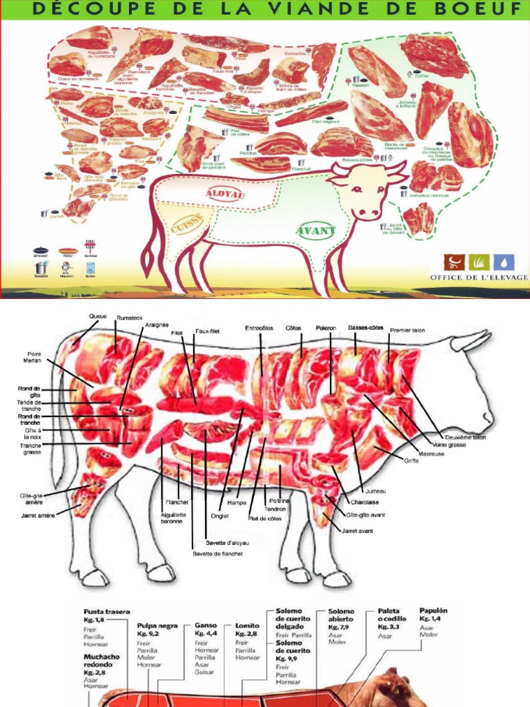 Cortes de Una Vaca - Carniceria | PDF