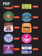 CDC Brand Guidelines Overview | PDF