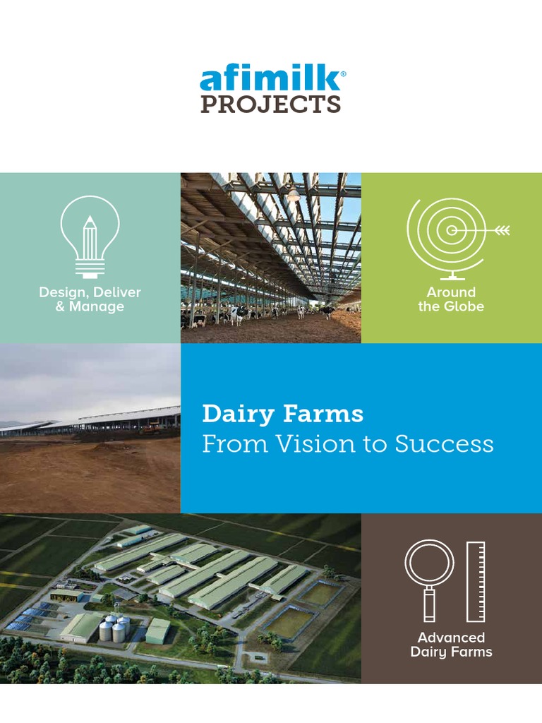 Projects: Dairy Farms From Vision To Success | PDF | Dairy Farming | Dairy