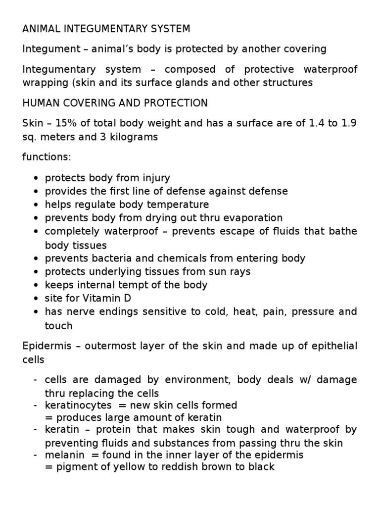 Animal Intergumentary System | PDF | Bark | Integumentary System